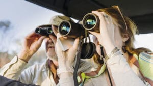 8 Best Binoculars for Safari (Winter 2025) – The Complete Guide