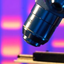 8 Best Digital Microscopes (Jan. 2021) – The Complete Guide