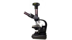 9 Best Digital Microscopes (Summer 2022) – The Complete Guide