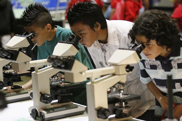 6 Best Microscopes for Students (Winter 2024) – The Complete Guide