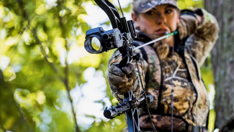 15 Best Bow Sights (Winter 2024) – The Complete Guide