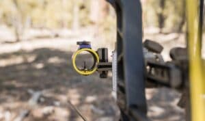 8 Best Single Pin Bow Sights (Winter 2025) – The Complete Guide