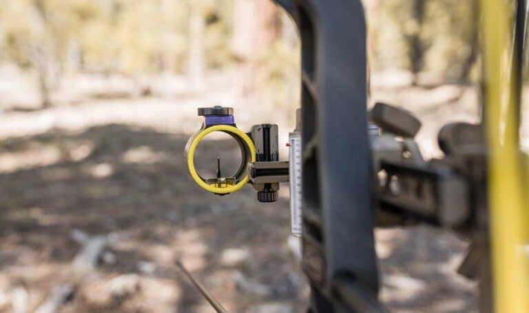 8 Best Single Pin Bow Sights (Winter 2024) – The Complete Guide