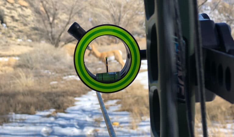 8 Best Single Pin Bow Sights (Winter 2025) – The Complete Guide