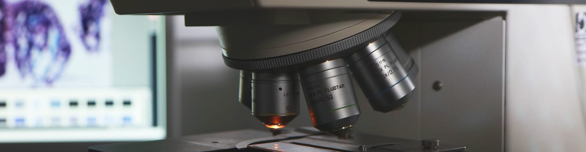 6 Best Gemological Microscopes (Winter 2025) – The Complete Guide