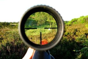 6 Best Scopes for Scar 17 (Winter 2025) – The Complete Guide