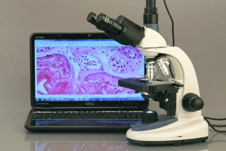 Simple vs Compound Microscope: How They Work and How They Differ