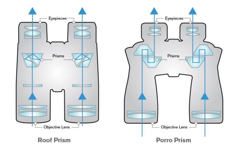 Parts of Binoculars and Their Functions Guide