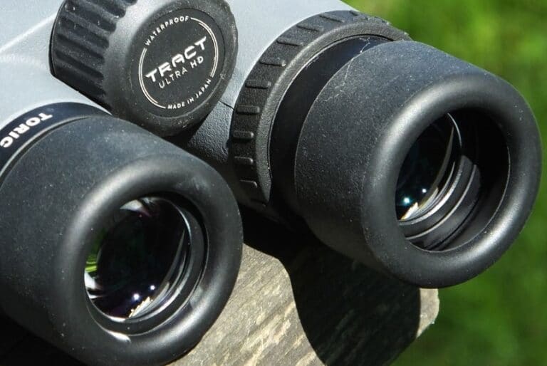 Parts of Binoculars and Their Functions Guide