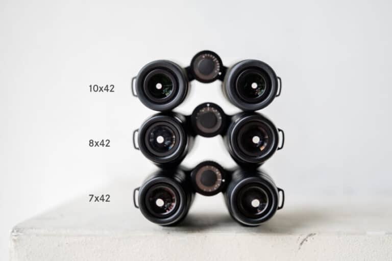 8x42 vs 10x42: Compare and Decide!